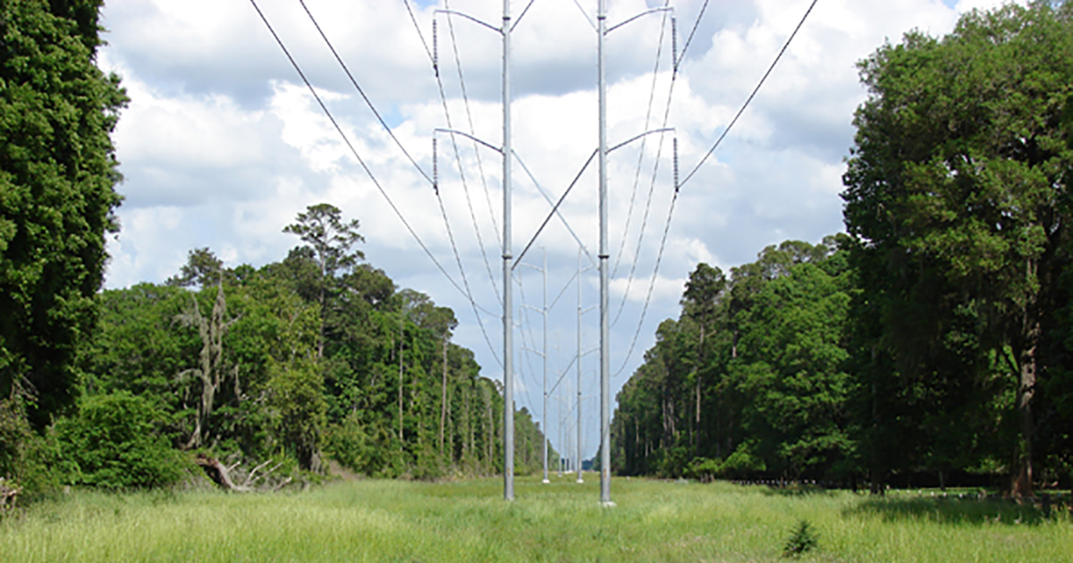 Tree Free Zones | Vegetation Management | Reliability | Electric ...